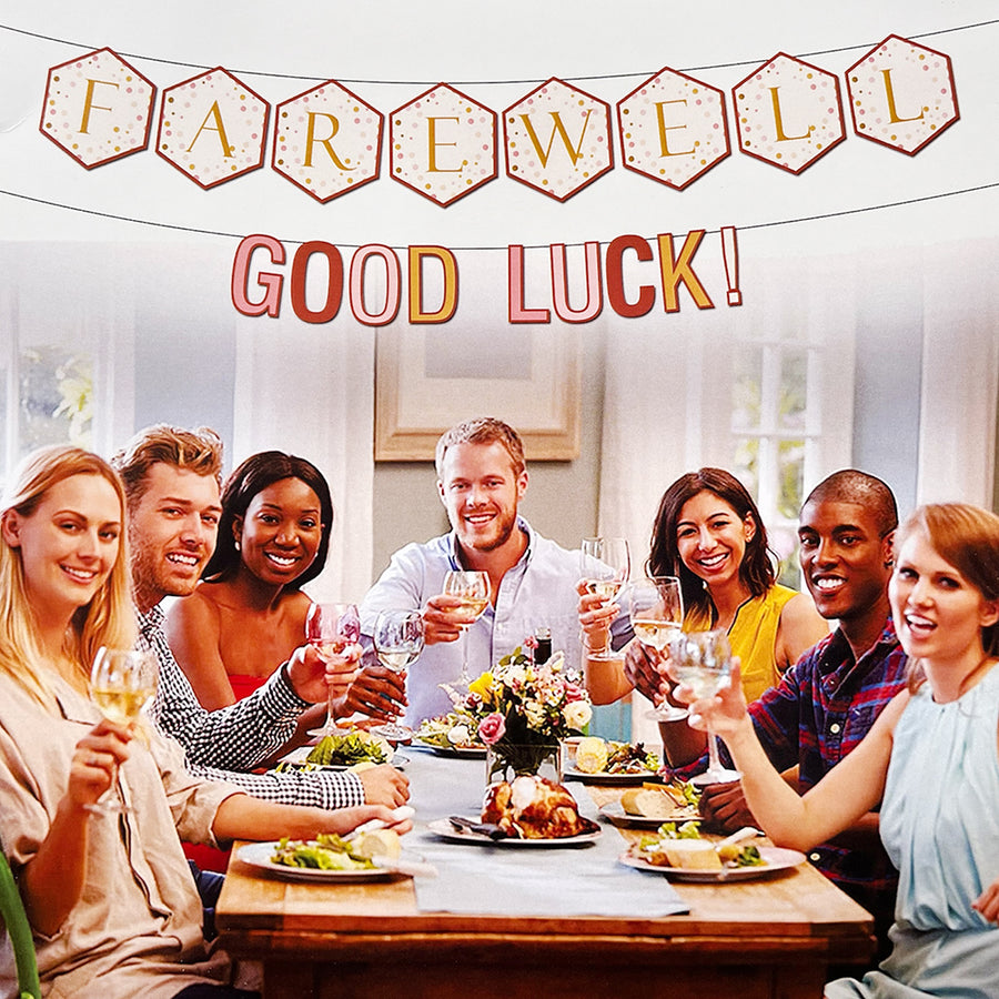 Farewell Good Luck Wall Banner | Office Party Supplies in Bulk – Party ...